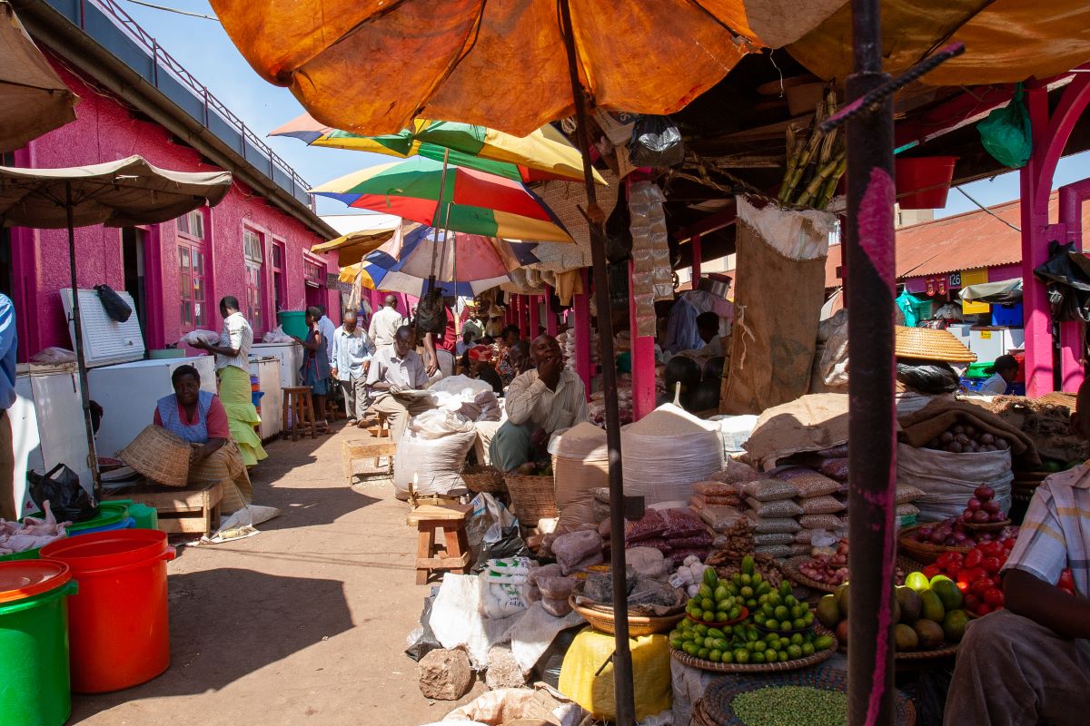 Uganda Safari: Africa Travel Guide