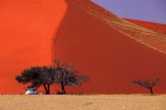 Namibia Desert Safari: Namib Desert, Karoo & Kalahari Desert Safaris