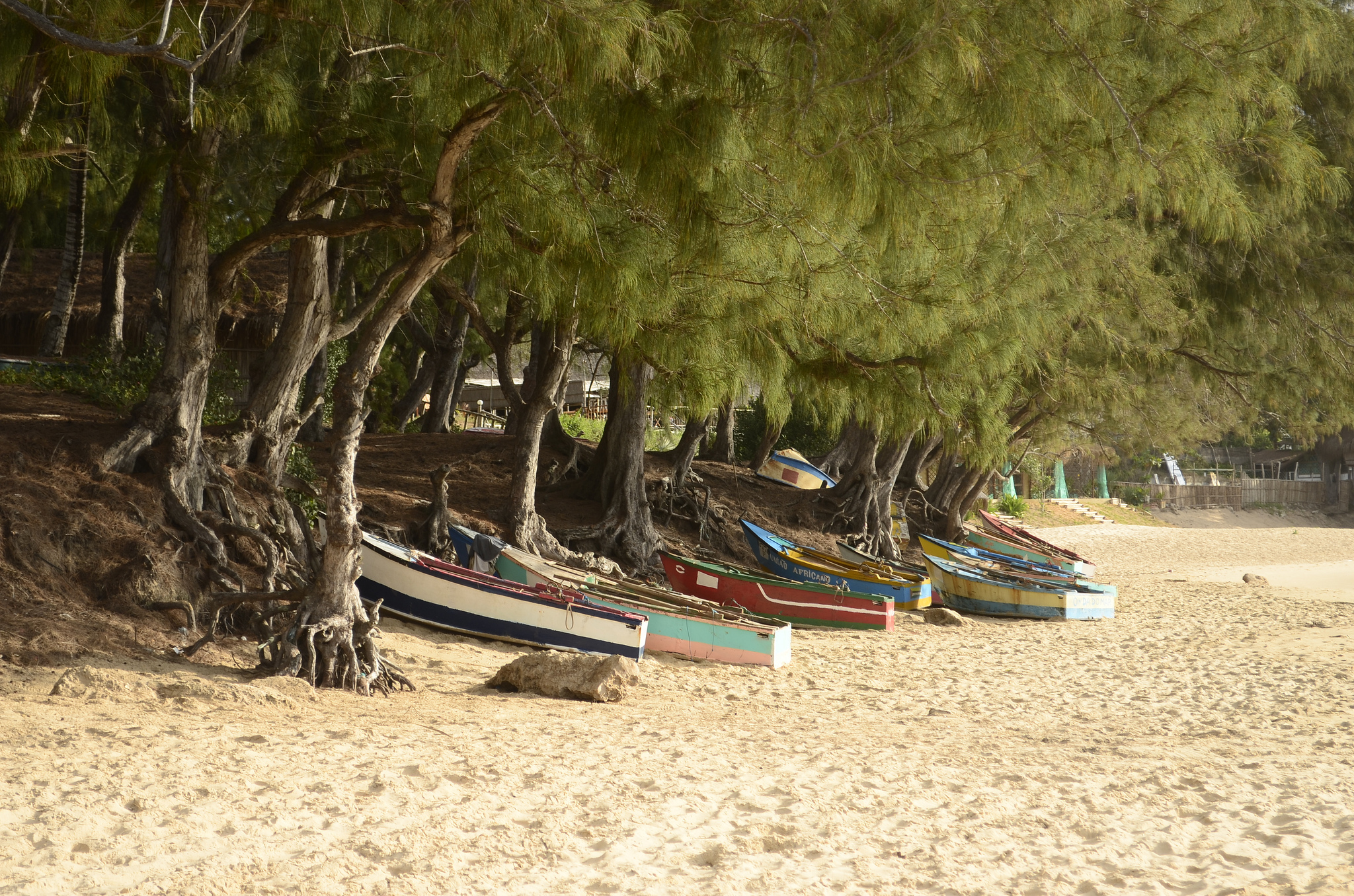 Budget Travel in Inhambane & Tofo | Safari Travel Guide