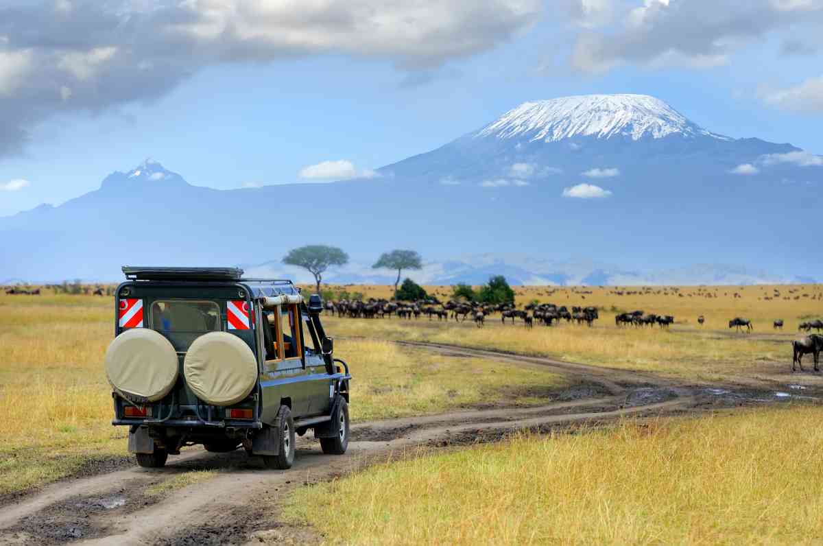 Amboseli National Park: Amboseli Safari Guide
