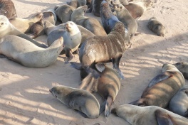 Budget Travel in Skeleton Coast | Budget Travel Guide