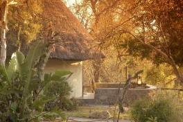 Budget Travel in Balule Private Game Reserve | Budget Travel Guide