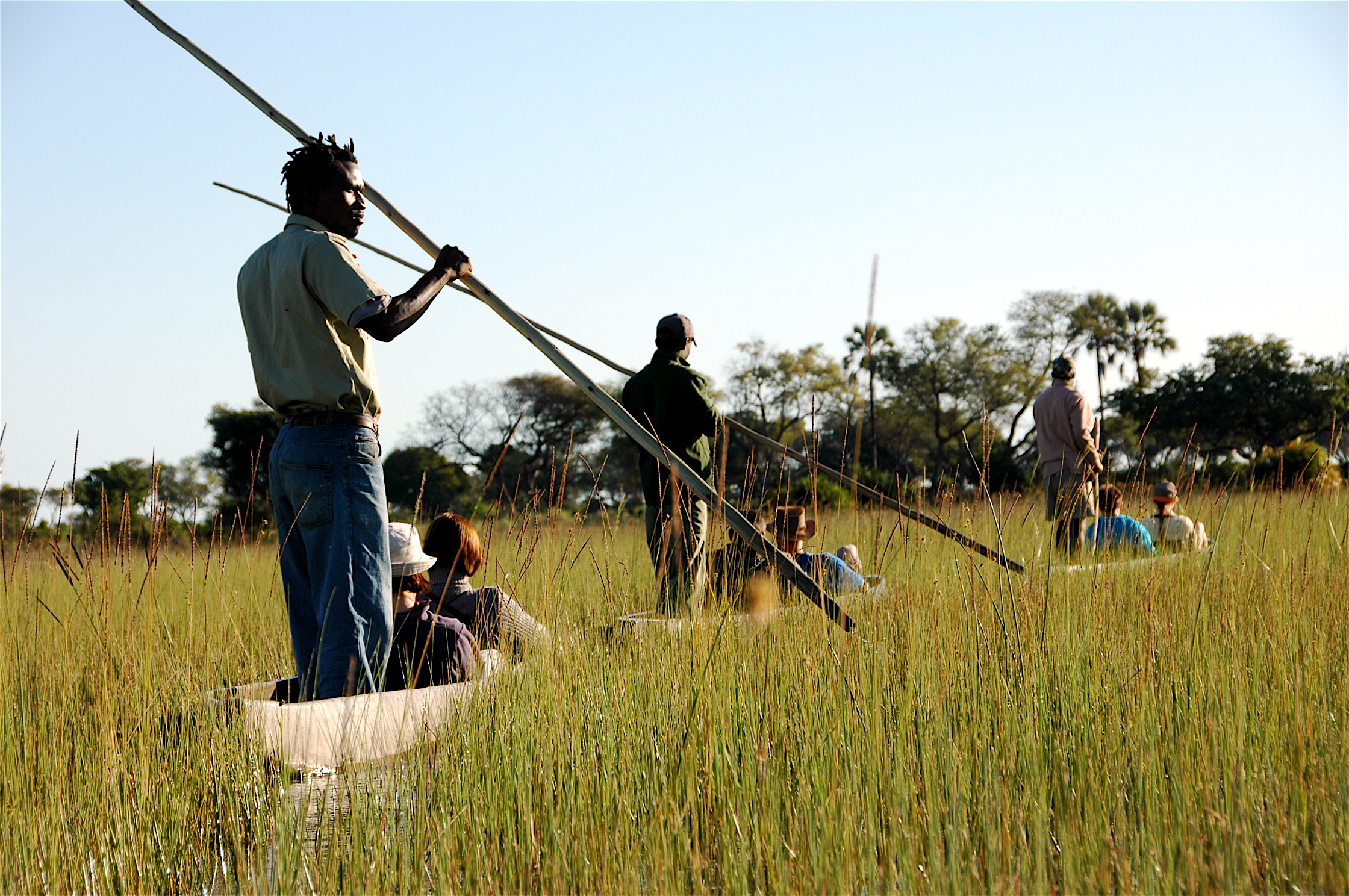 Okavango Delta Safari in Botswana - Travel Guide