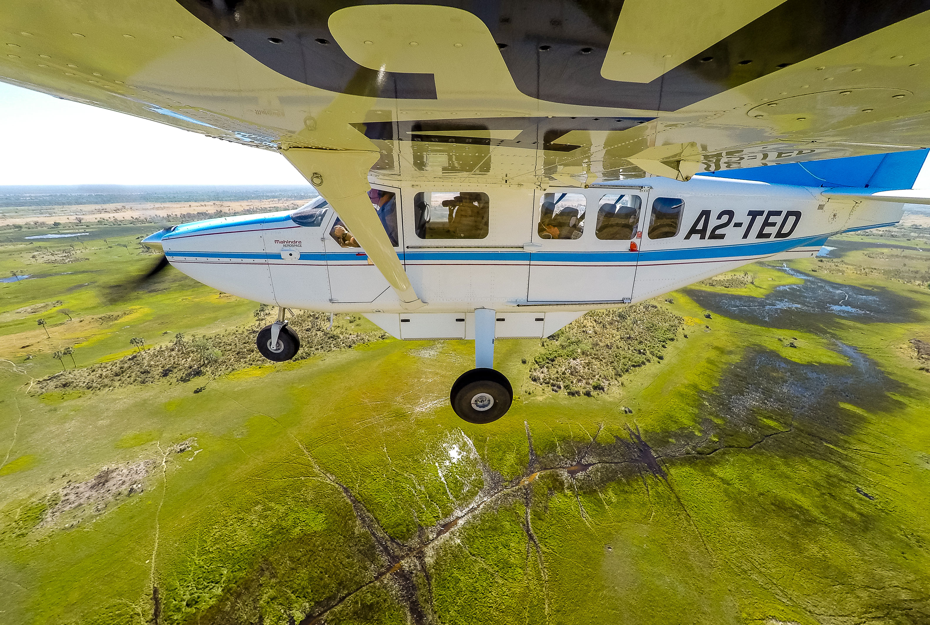 Okavango Delta Safari in Botswana - Travel Guide