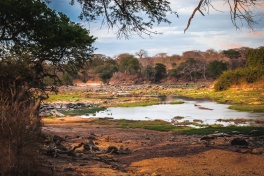 Budget Travel in Ruaha National Park | Safari Travel Guide